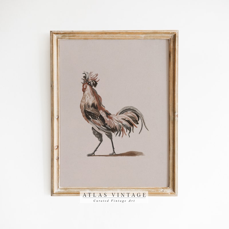 Rooster Prints - Etsy