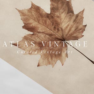 Vintage Fall Leaf Print | Neutral Rustic Farmhouse Autumn Decor | Maple ...