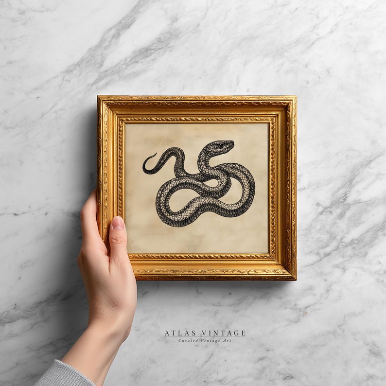 Vintage Snake Drawing Print, Gothic Halloween Decor (digital Download ...