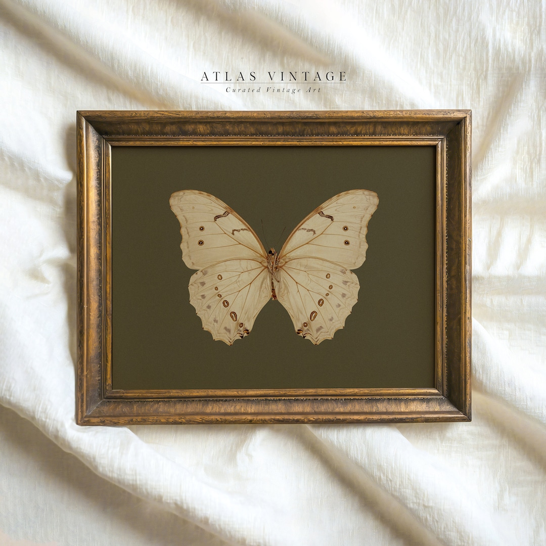 Vintage White Butterfly Print, Dark Moody Insect Printable Wall Art ...