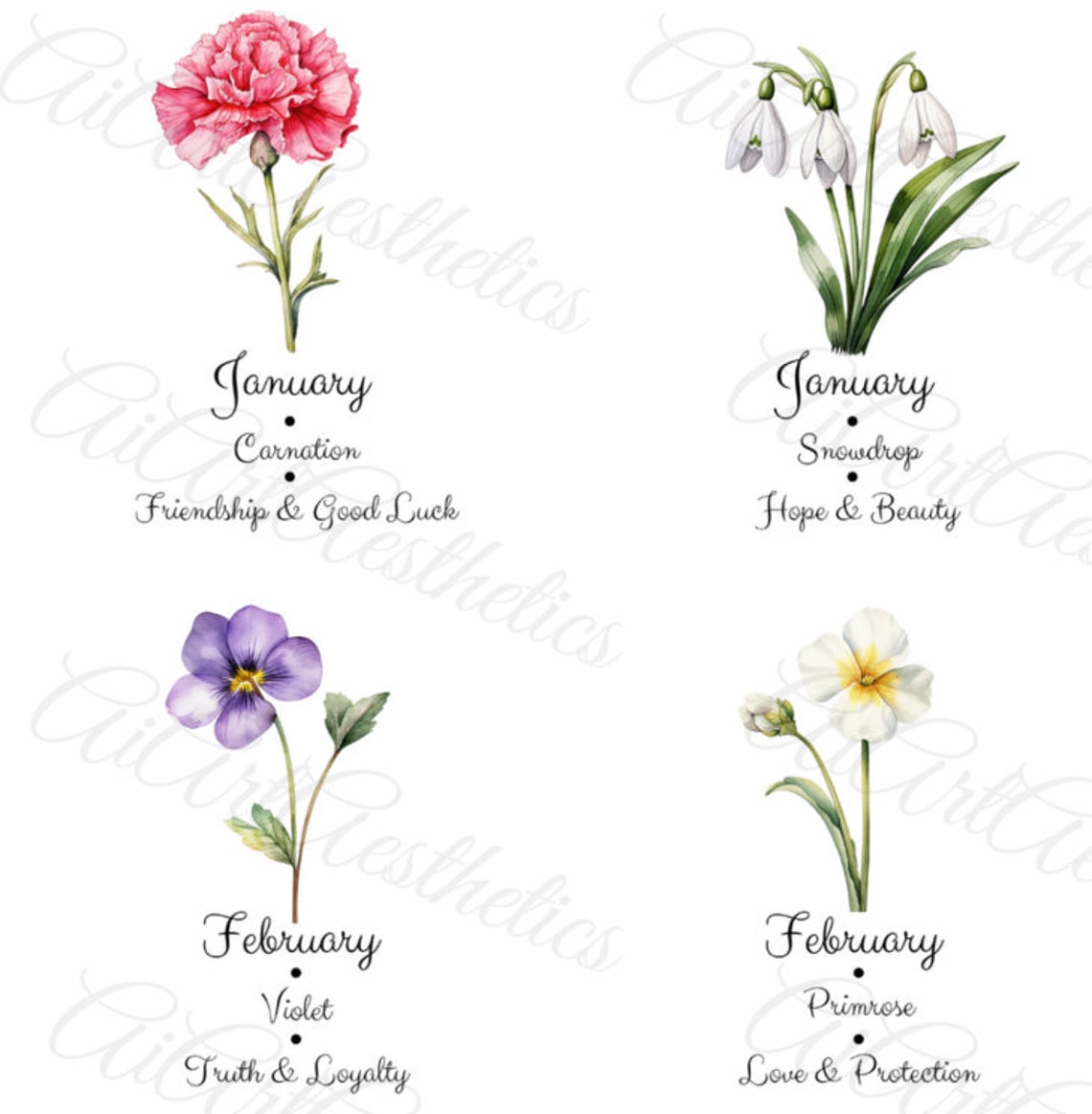 PNG Birth Month Flowers,watercolor Floral PNG Bundle, Birth Flower ...
