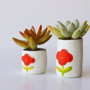 Pair of Petite Flower Pots: Ceramic Planters for Small Plants, Delicate ...