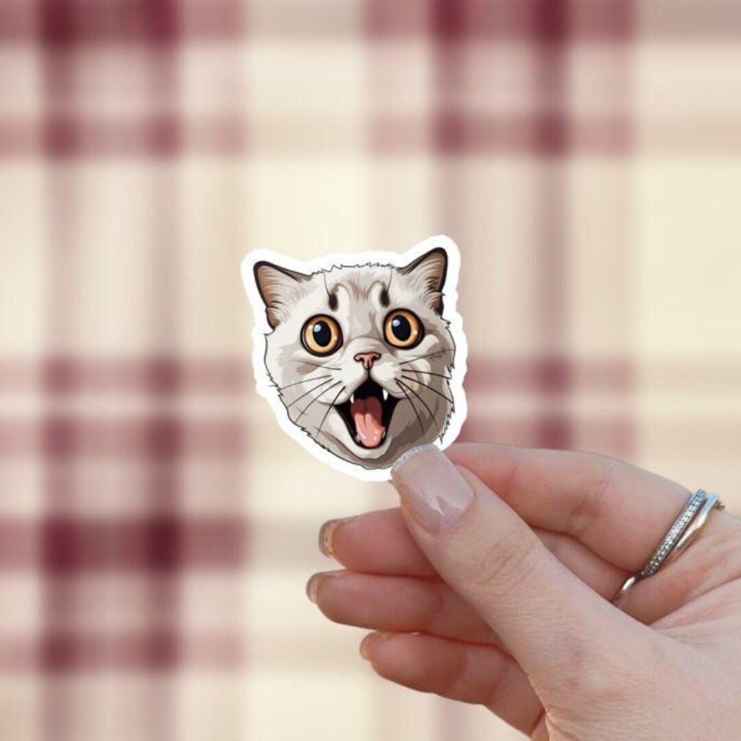 Omg Cat Meme