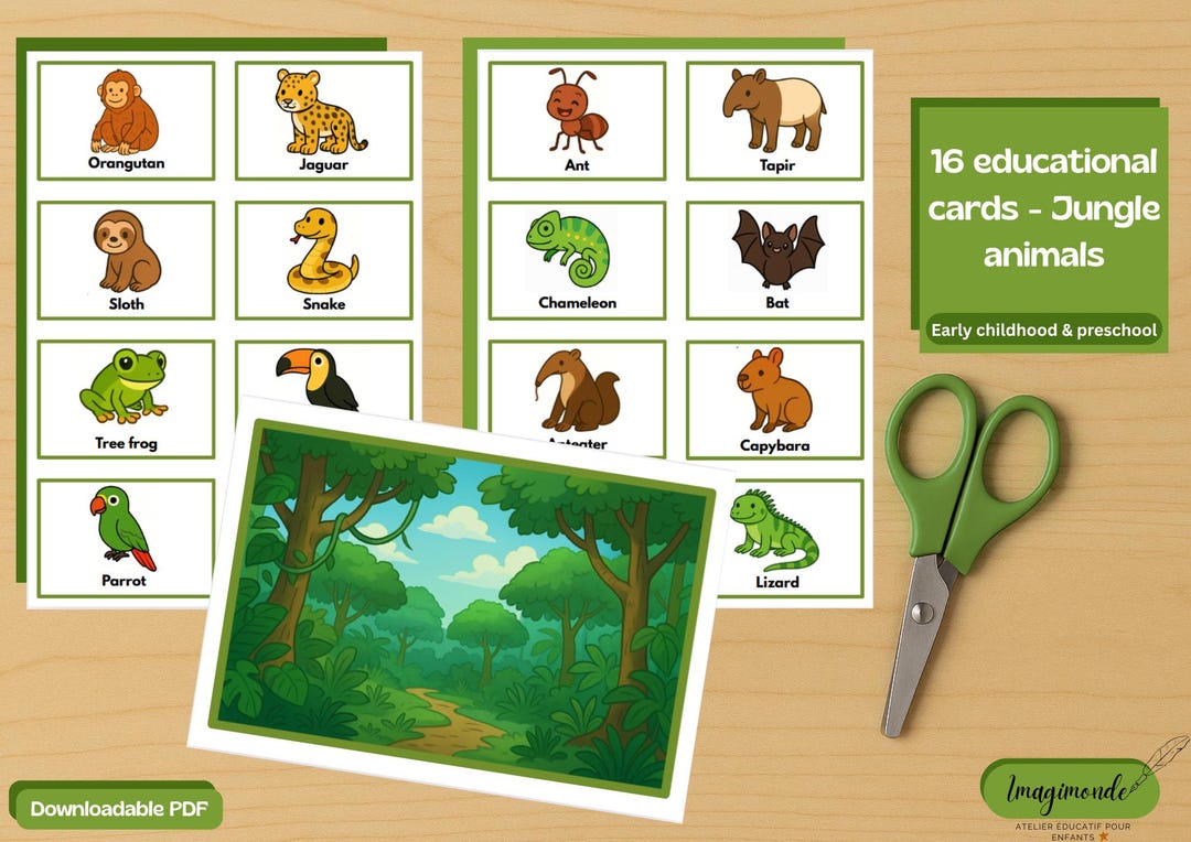 Educational Cards – Jungle Animals (early Childhood & Preschool ...