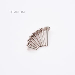20G 18G 16G Implant Titanium Gold/silver THREADLESS Post Replacement ...