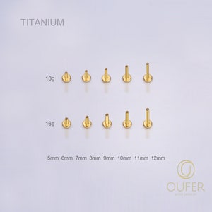 16G 18G Internally Threaded Titanium Posts/flat Back Earring Silver ...