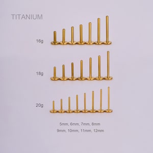 20G 18G 16G Implant Titanium Gold/silver THREADLESS Post Replacement ...