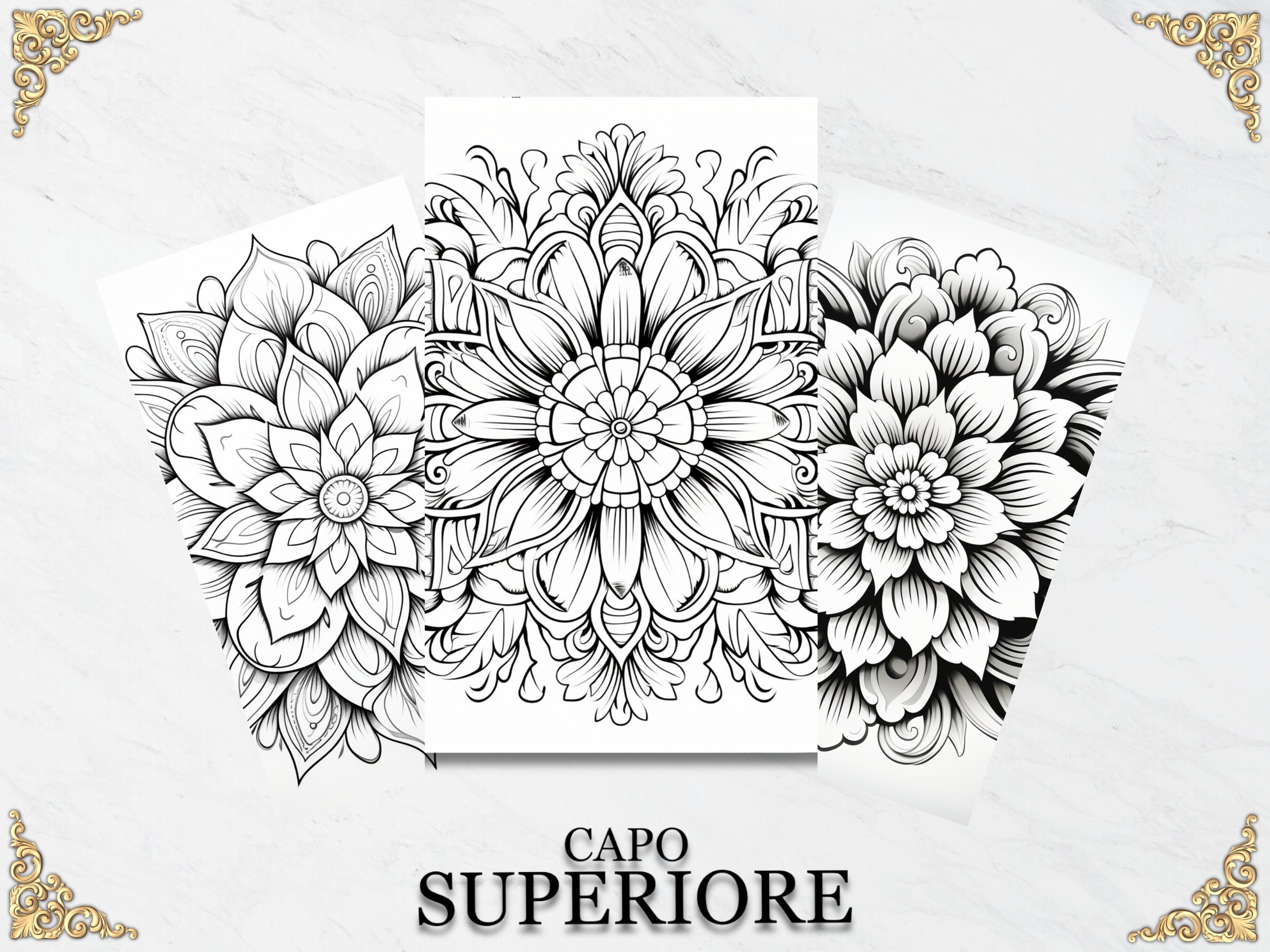 18 Mandala Coloring Page, Adults + Kids - Instant Download - Coloring ...