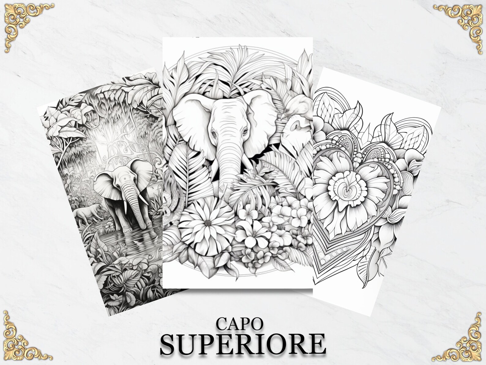 18 Mandala Coloring Page, Adults + Kids - Instant Download - Coloring ...