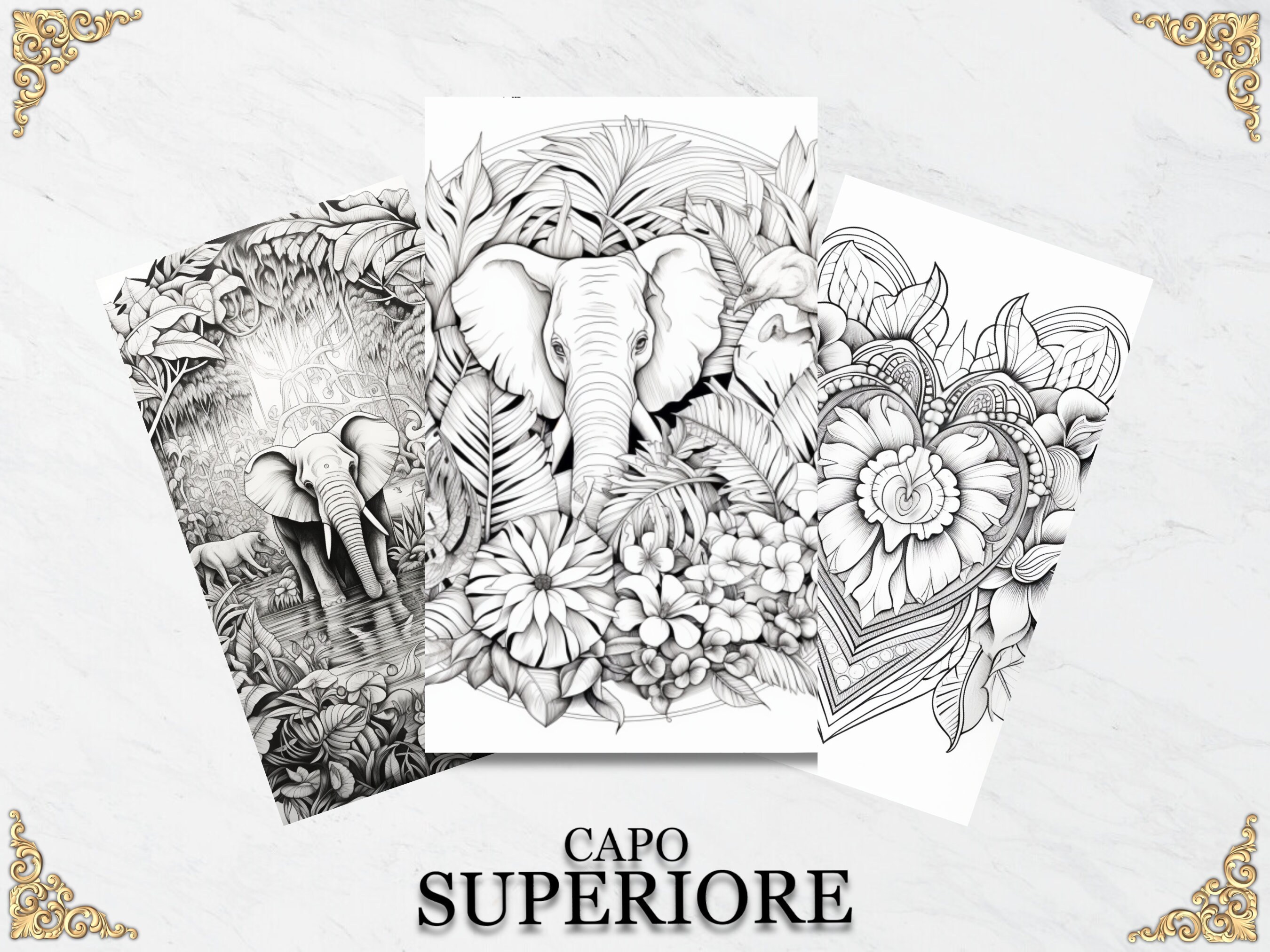 18 Mandala Coloring Page, Adults + Kids - Instant Download - Coloring ...