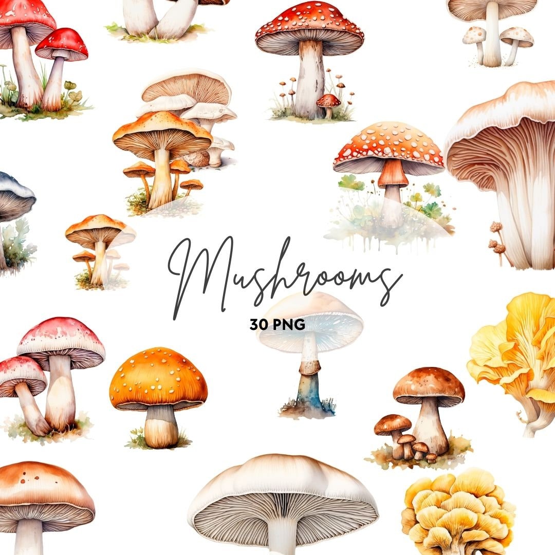 Mushrooms Watercolor Clipart - Different Species - Button, Shitake ...