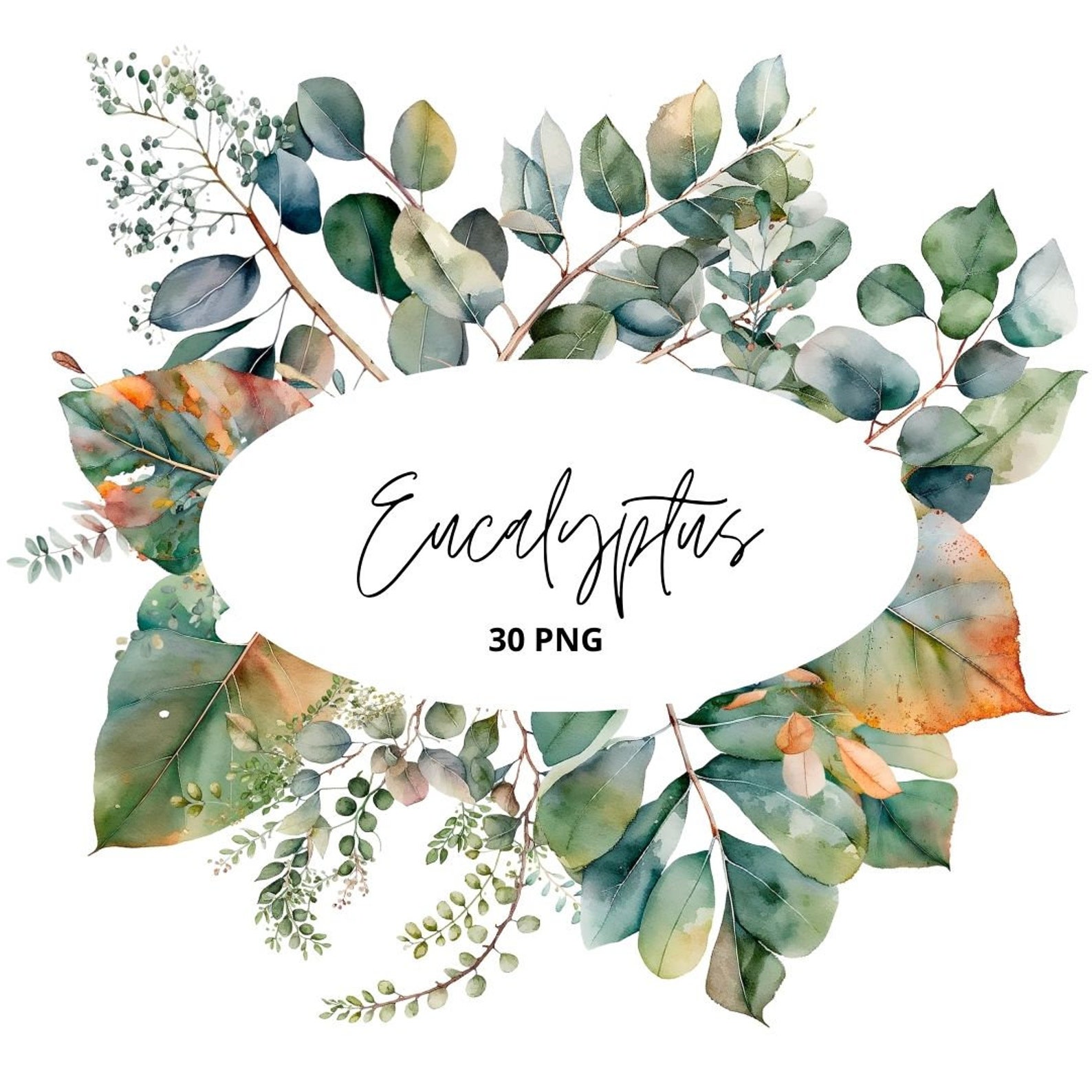 Eucalyptus Watercolor Clipart - Foliage Bouquet Frame Jar Arrangements ...