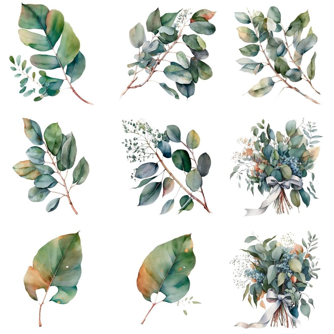 Eucalyptus Watercolor Clipart - Foliage Bouquet Frame Jar Arrangements ...
