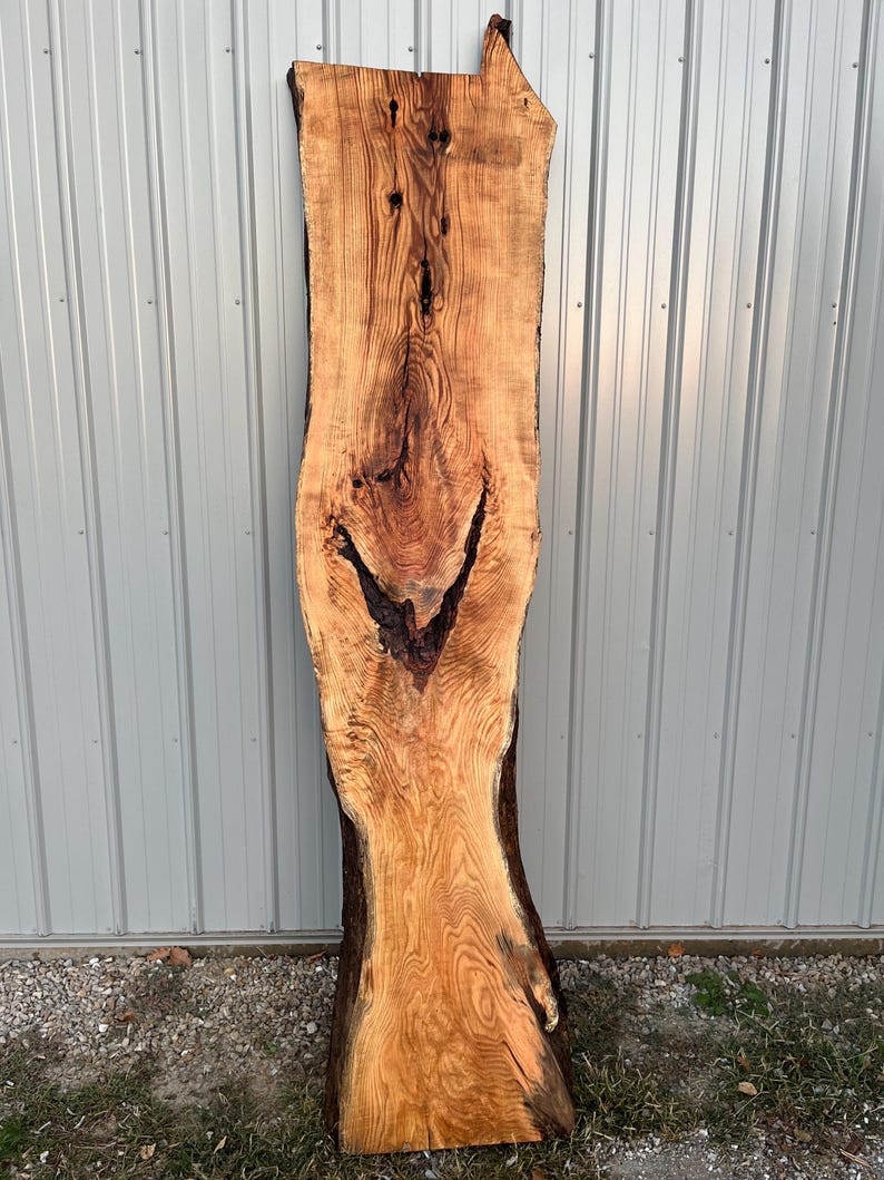 Live Edge Honey Locust Slab - Etsy