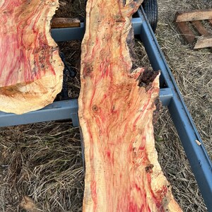 Live Edge Box Elder Slabs - Etsy