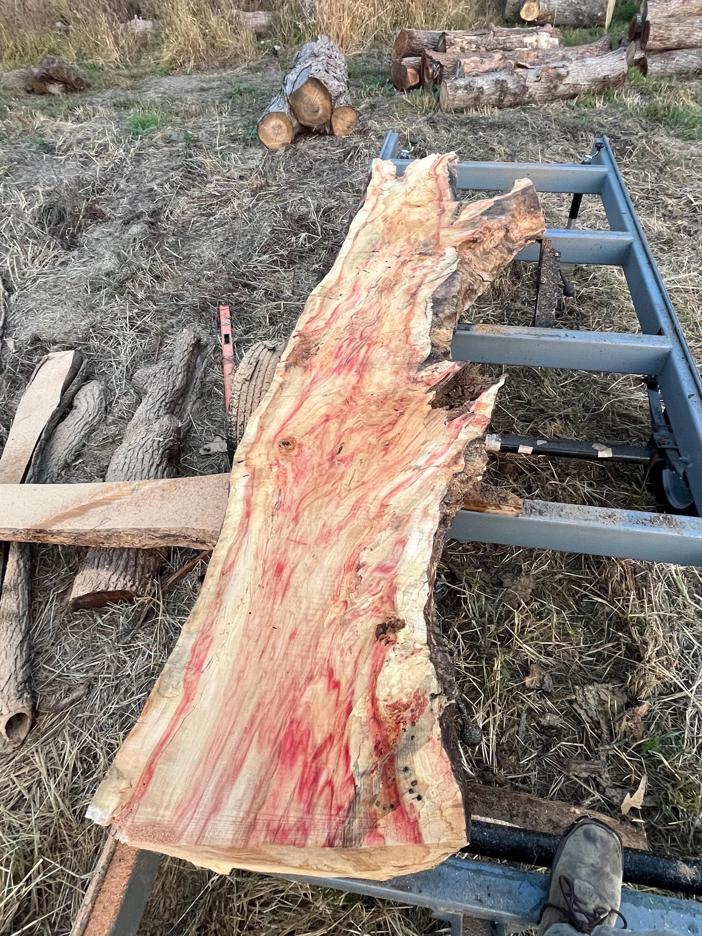 Live Edge Box Elder Slabs - Etsy