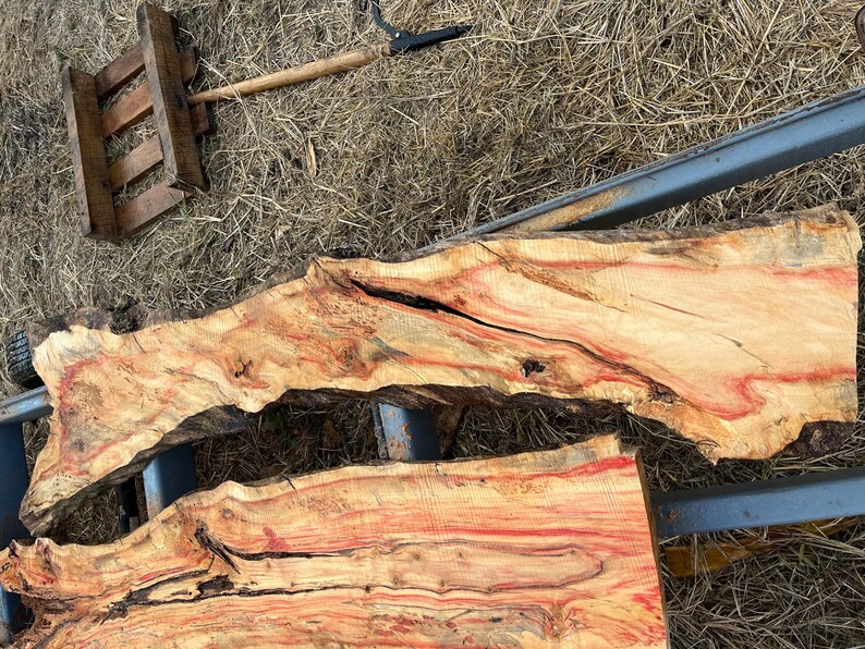 Live Edge Box Elder Slabs - Etsy