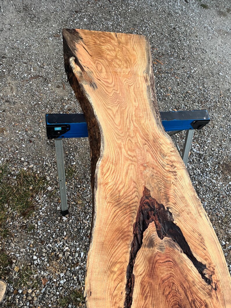 Live Edge Honey Locust Slab - Etsy