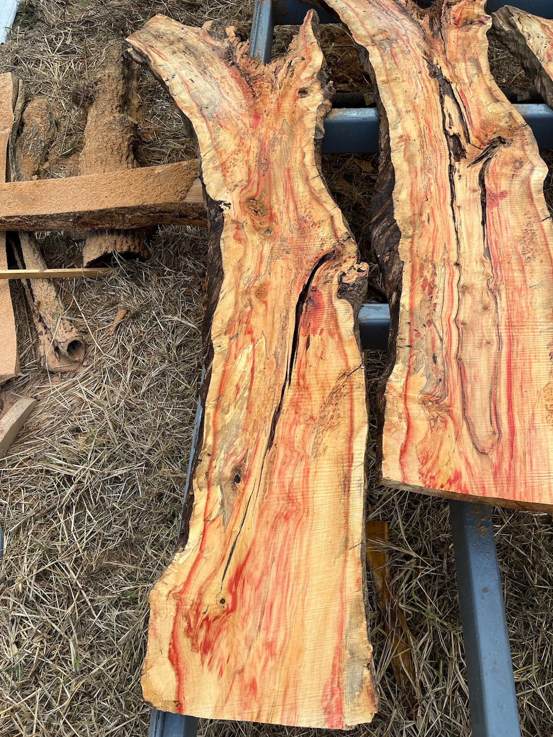 Live Edge Box Elder Slabs - Etsy