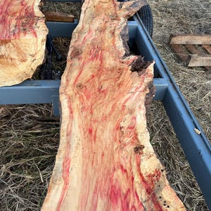 Live Edge Box Elder Slabs - Etsy