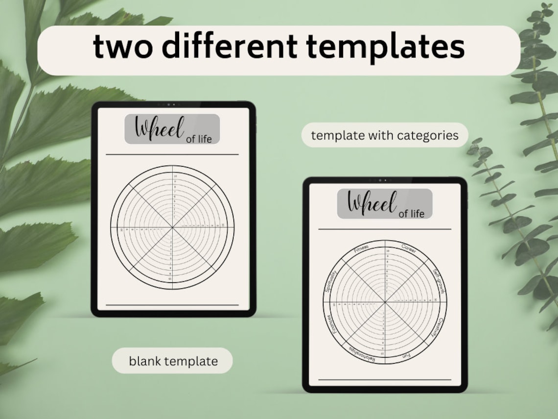 Vibrant Wheel of Life Template - Digital or Printable - Available in 10 ...
