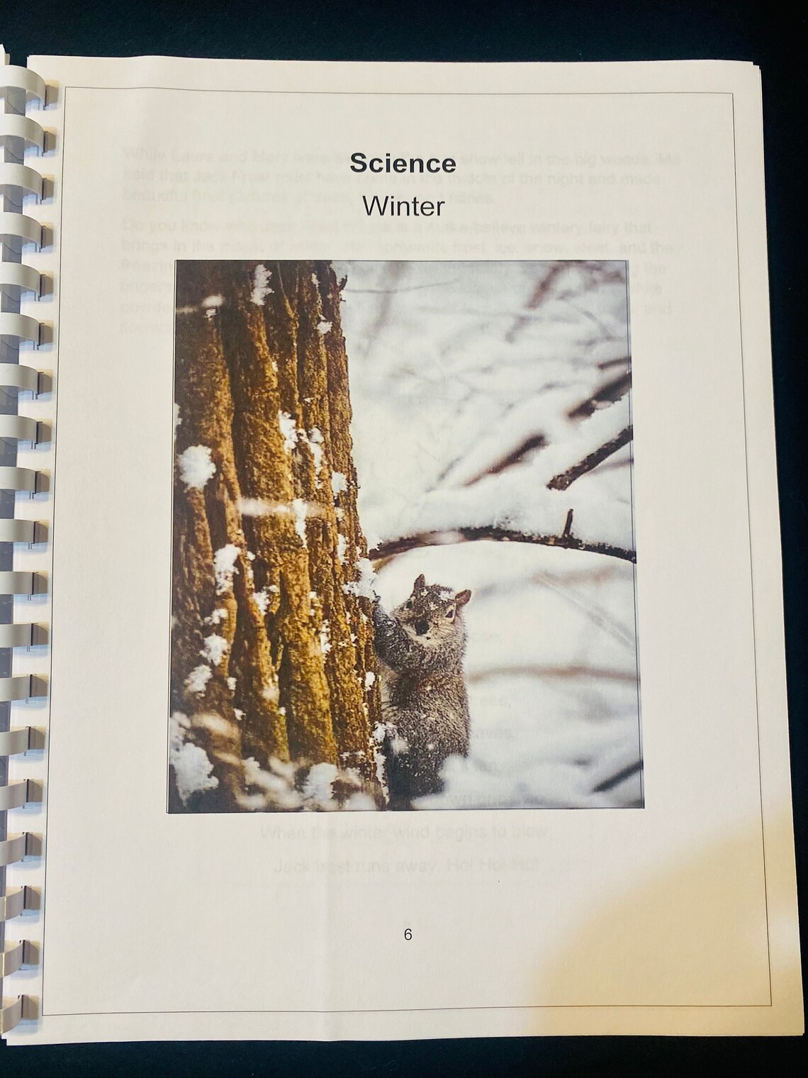 Winter Days in the Big Woods Unit Study, My First Little House Book ...