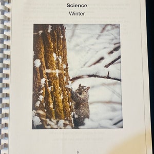 Winter Days in the Big Woods Unit Study, My First Little House Book ...