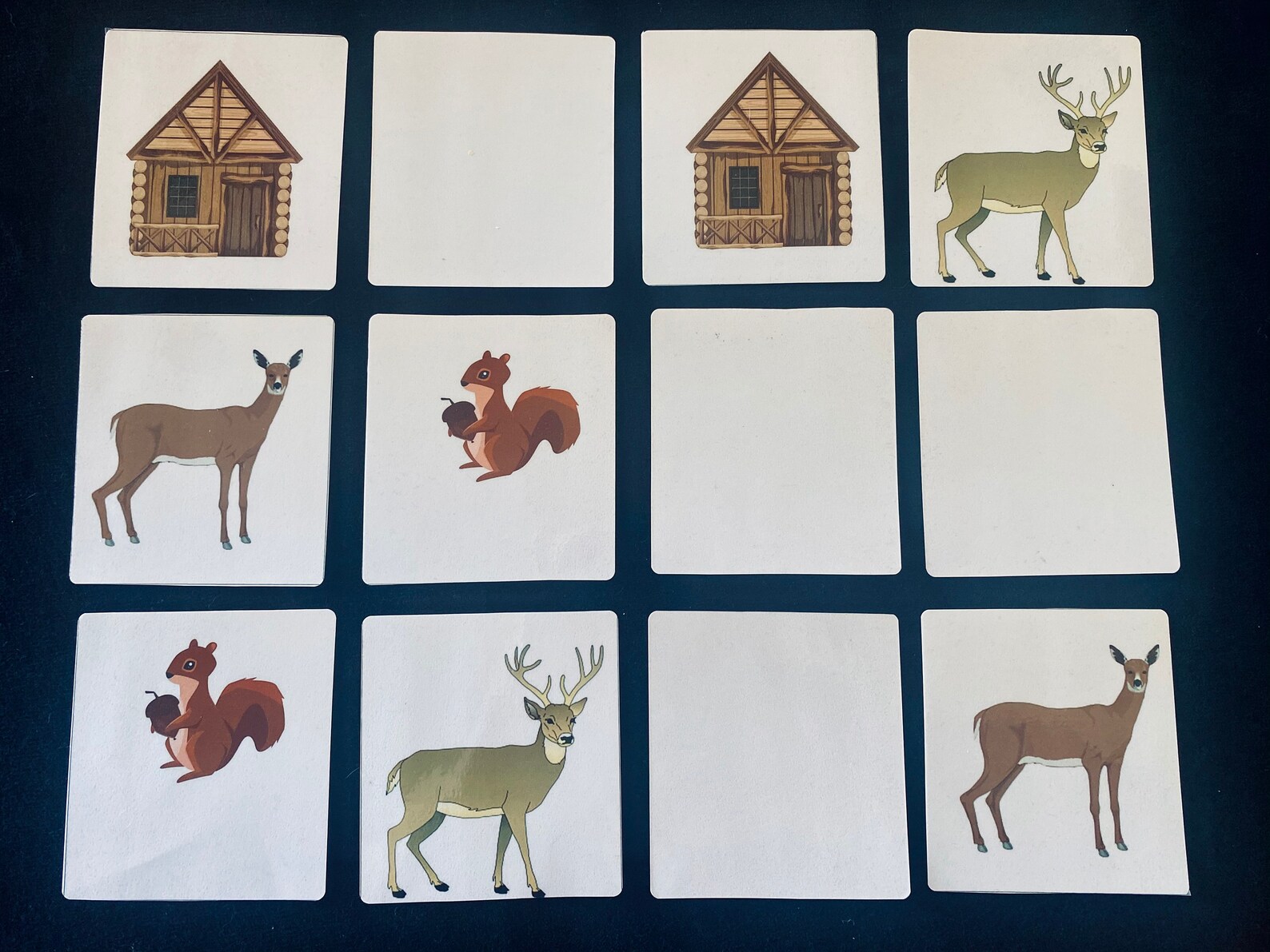 The Deer in the Wood Unit Study, My First Little House Books, Preschool ...