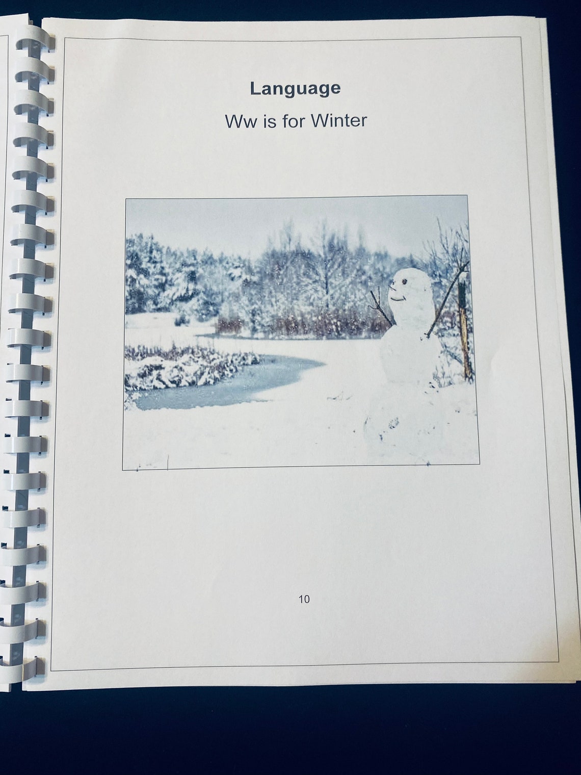 Winter Days in the Big Woods Unit Study, My First Little House Book ...
