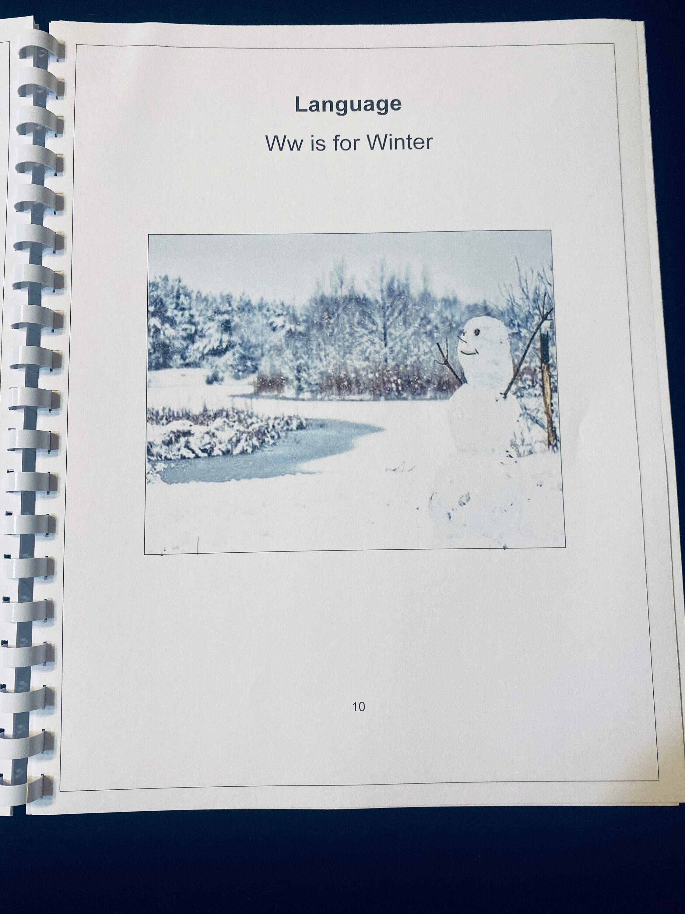Winter Days in the Big Woods Unit Study, My First Little House Book ...