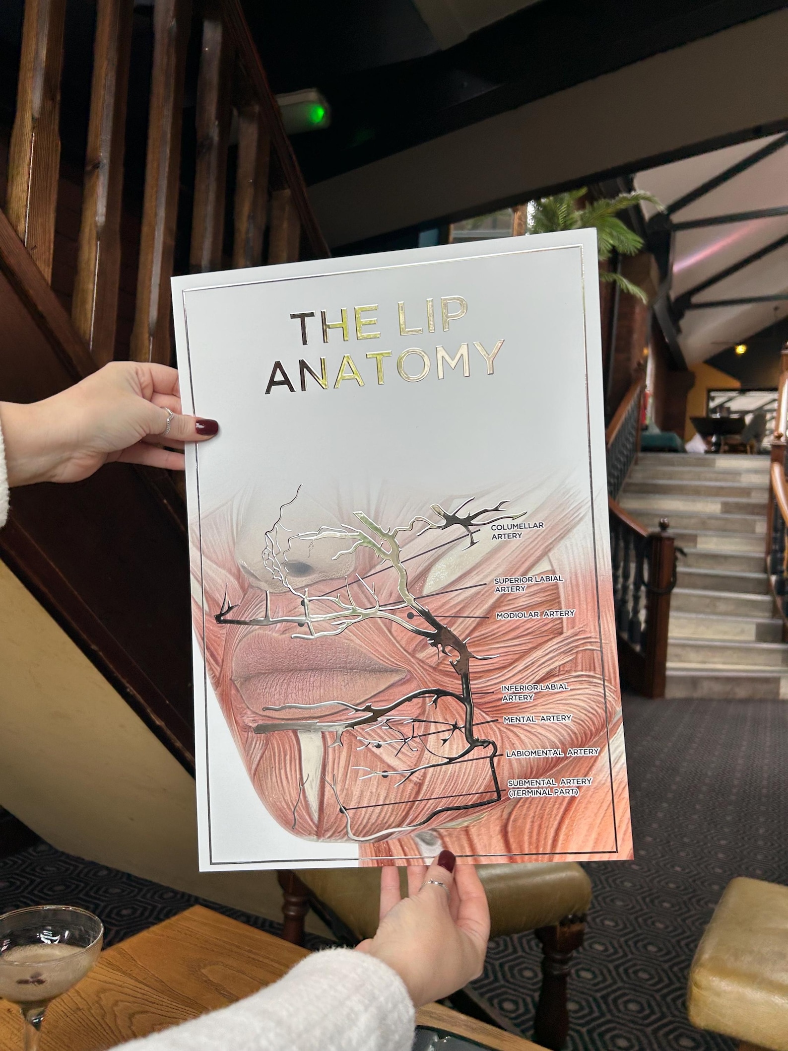 A3 Raised Foiled Lip Anatomy Poster - Etsy