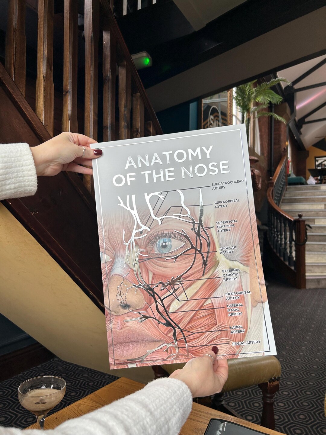 A3 Raised Foiled Nose Anatomy Poster - Etsy