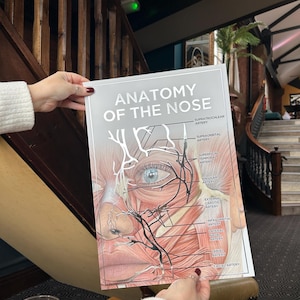 A3 Raised Foiled Nose Anatomy Poster - Etsy
