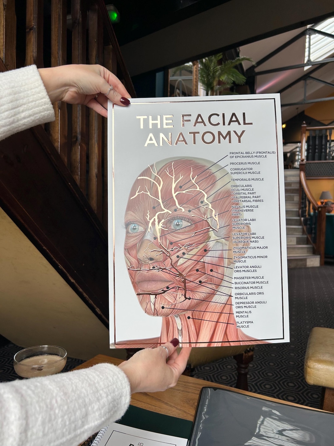 A3 Raised Foiled Facial Muscle Anatomy Poster - Etsy