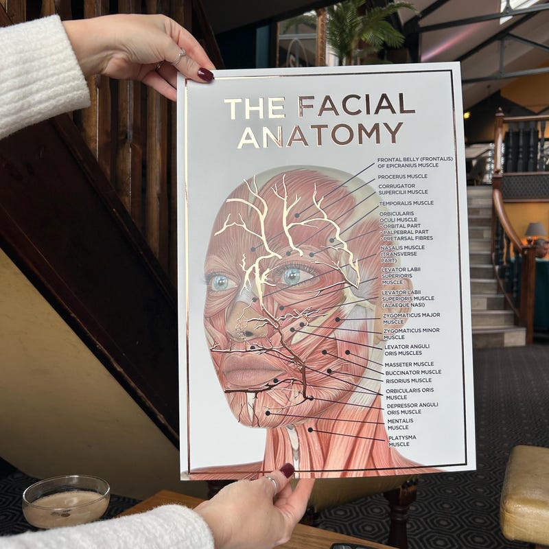 Muscle Anatomy Art Posters - Etsy UK