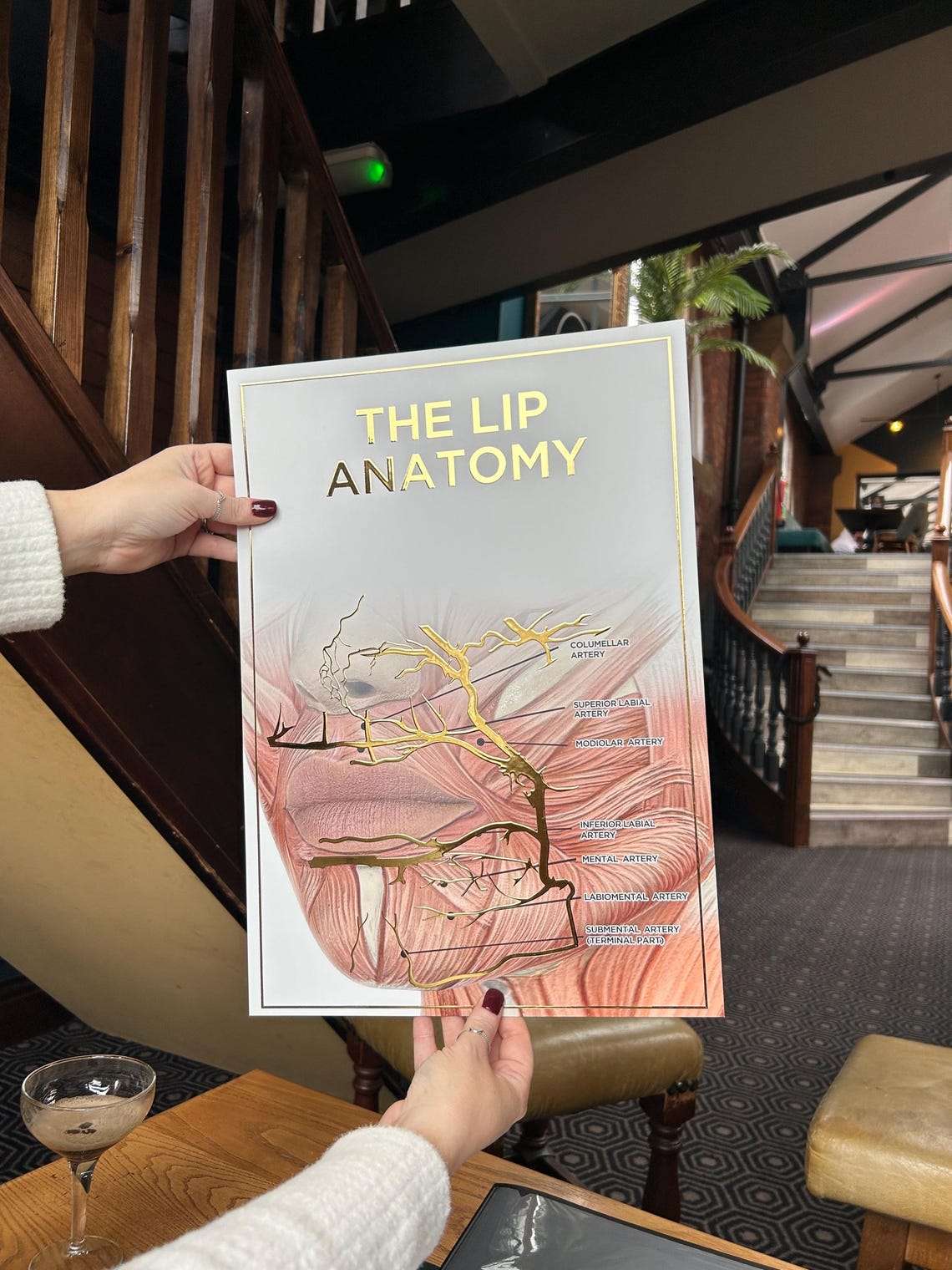 A3 Raised Foiled Lip Anatomy Poster - Etsy