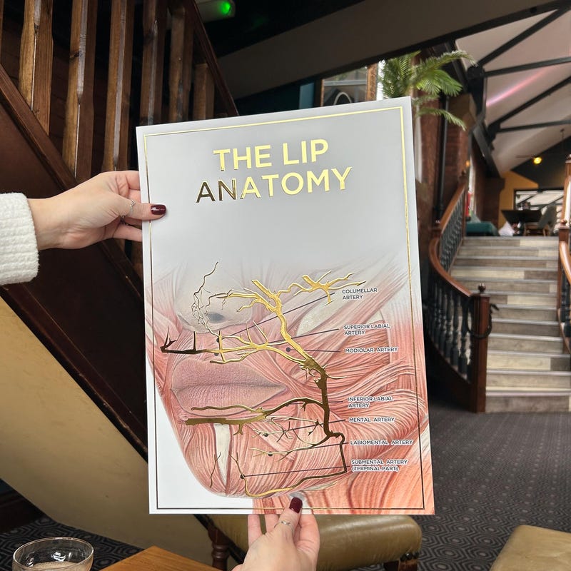 A4 Anatomy Posters - Etsy UK