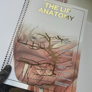 A4 Raised Foil Facial Anatomy Booklets (includes 11 Posters) - Etsy