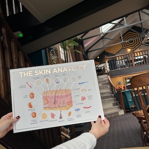 A3 Raised Foiled Skin Anatomy Poster - Etsy