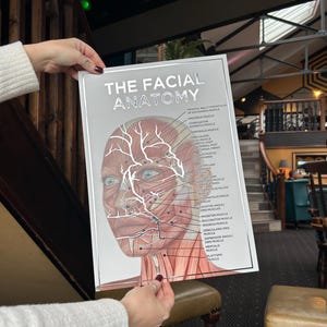 A3 Raised Foiled Facial Muscle Anatomy Poster - Etsy