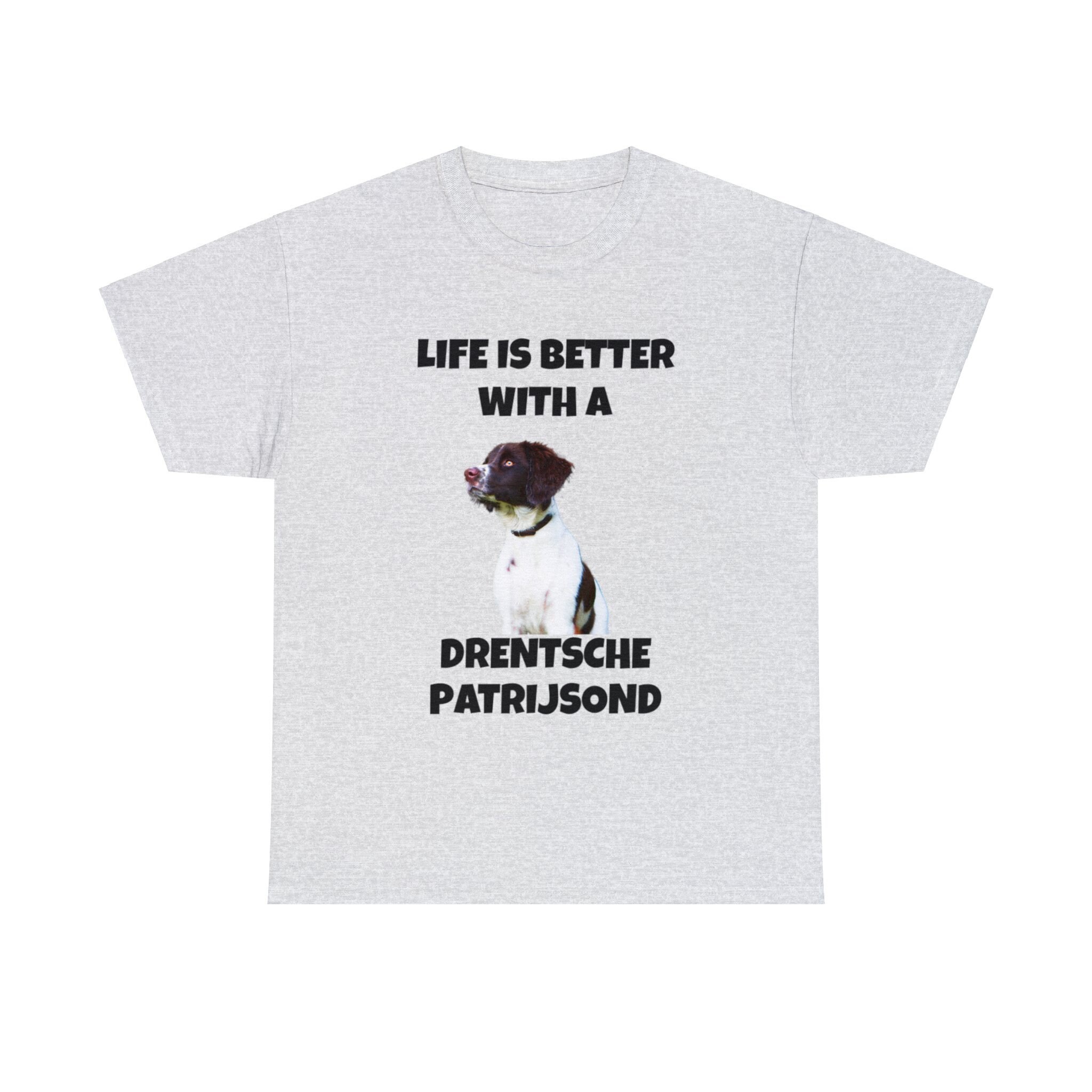 Cuánto Cuestan Los Cachorros De Drentse Patrijshond