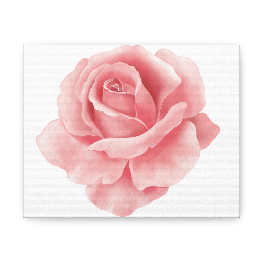 Pink Rose Canvas Gallery Wraps - Etsy