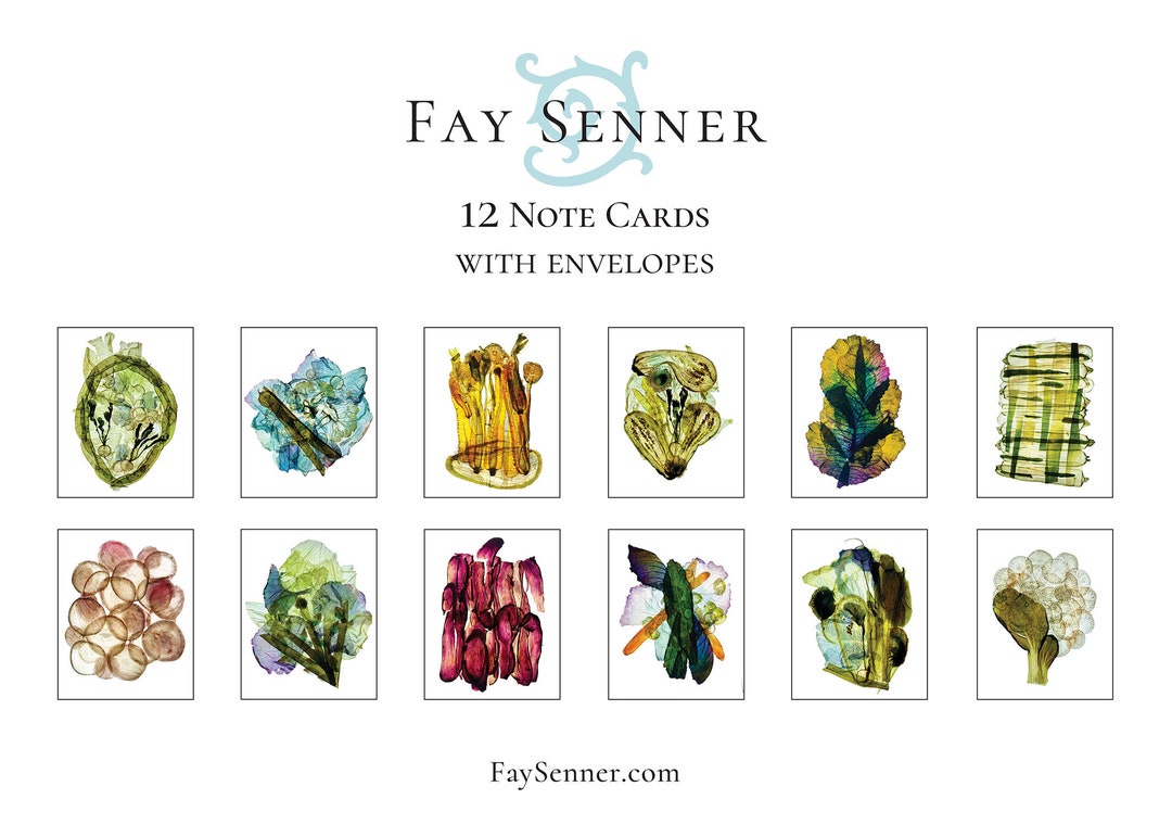 Set of 12 Greeting Cards - Papyrus Fine Art Card Set - Etsy
