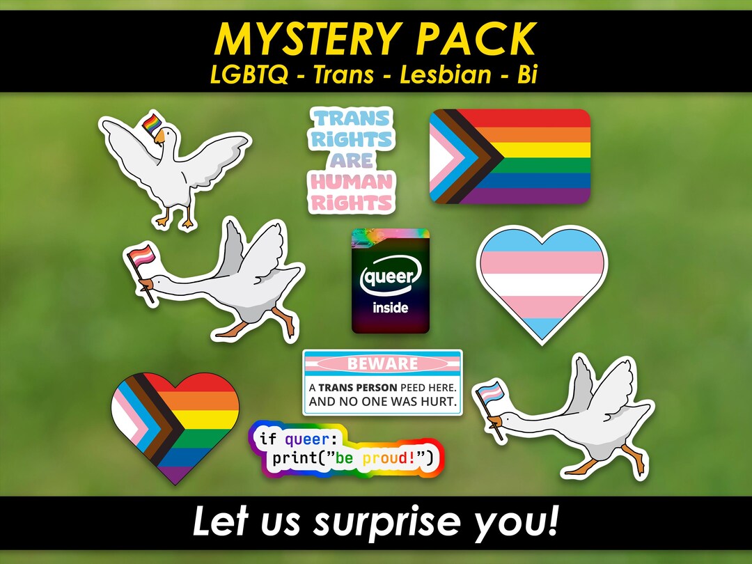 Mystery Pack LGBTQ Queer Sticker Pride Sticker Pack Gay Code Stickers ...