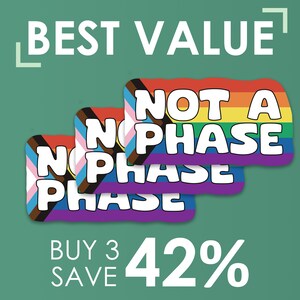 Not A Phase Pride Sticker LGBTQ Sticker Queer Sticker Pride Sticker ...