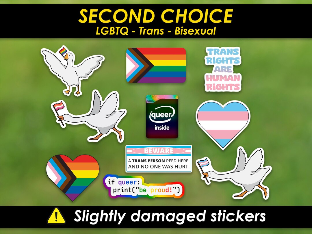 Second Choice LGBTQ Queer Sticker Pride Sticker Pack Gay Code Sticker ...