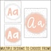 Pastel Classroom Alphabet Posters | Alphabet Display | Animal Alphabet ...