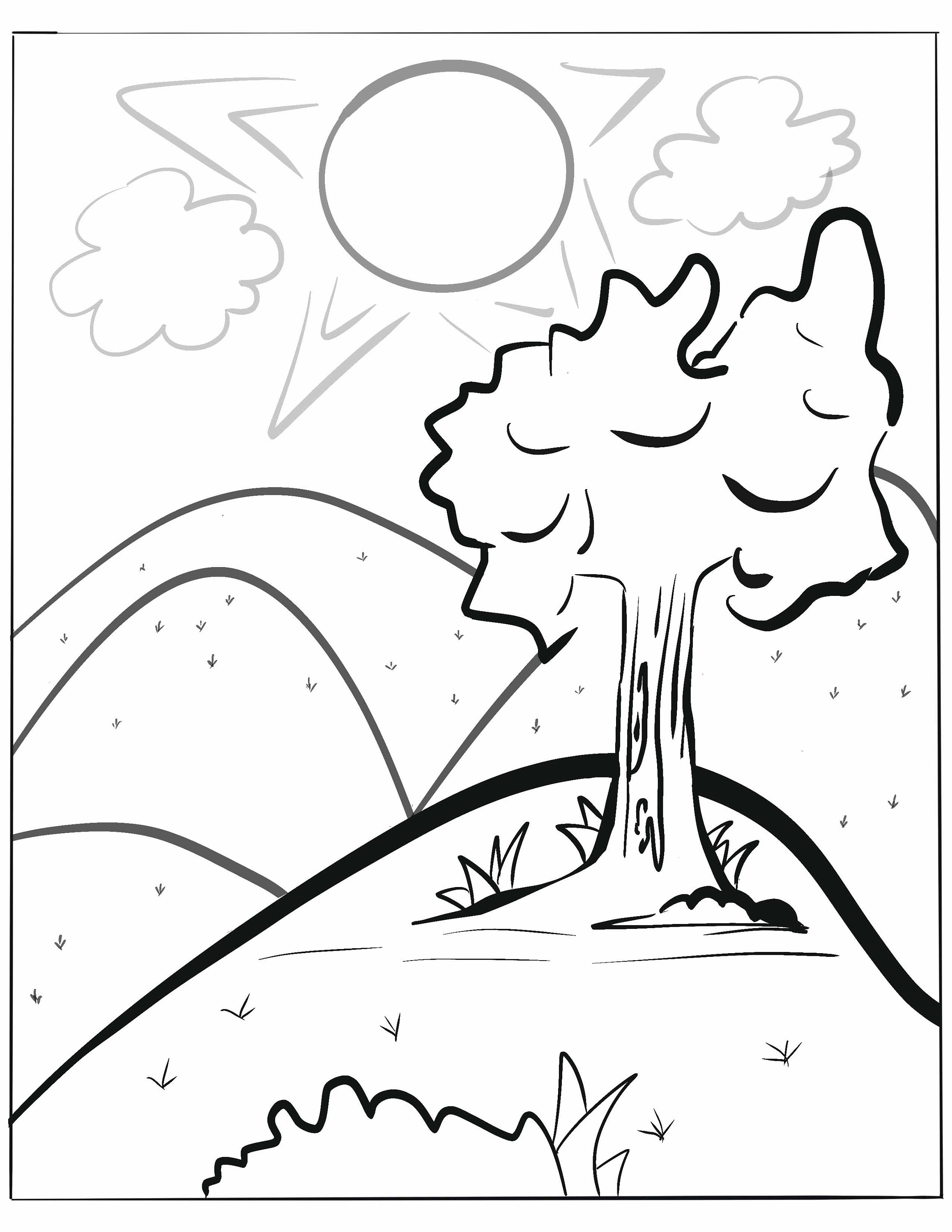 Printable Nature Coloring Pages for Kids Printable Coloring - Etsy