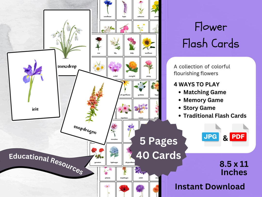 40 Real Flower Flash Cards Printable Botany Montessori Flora - Etsy