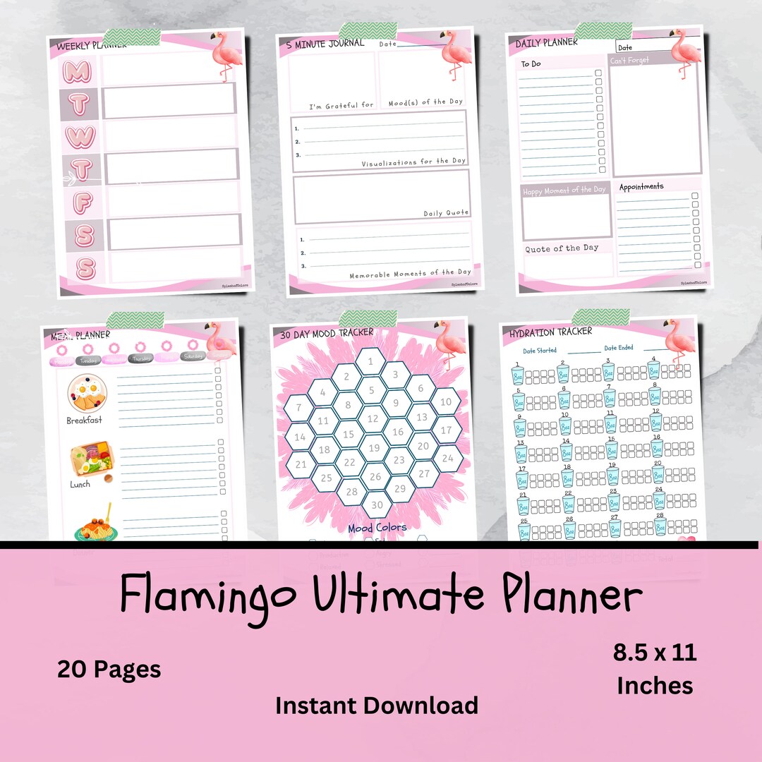 Ultimate Flamingo Daily Planner Printable, Colorful Daily Organizer ...